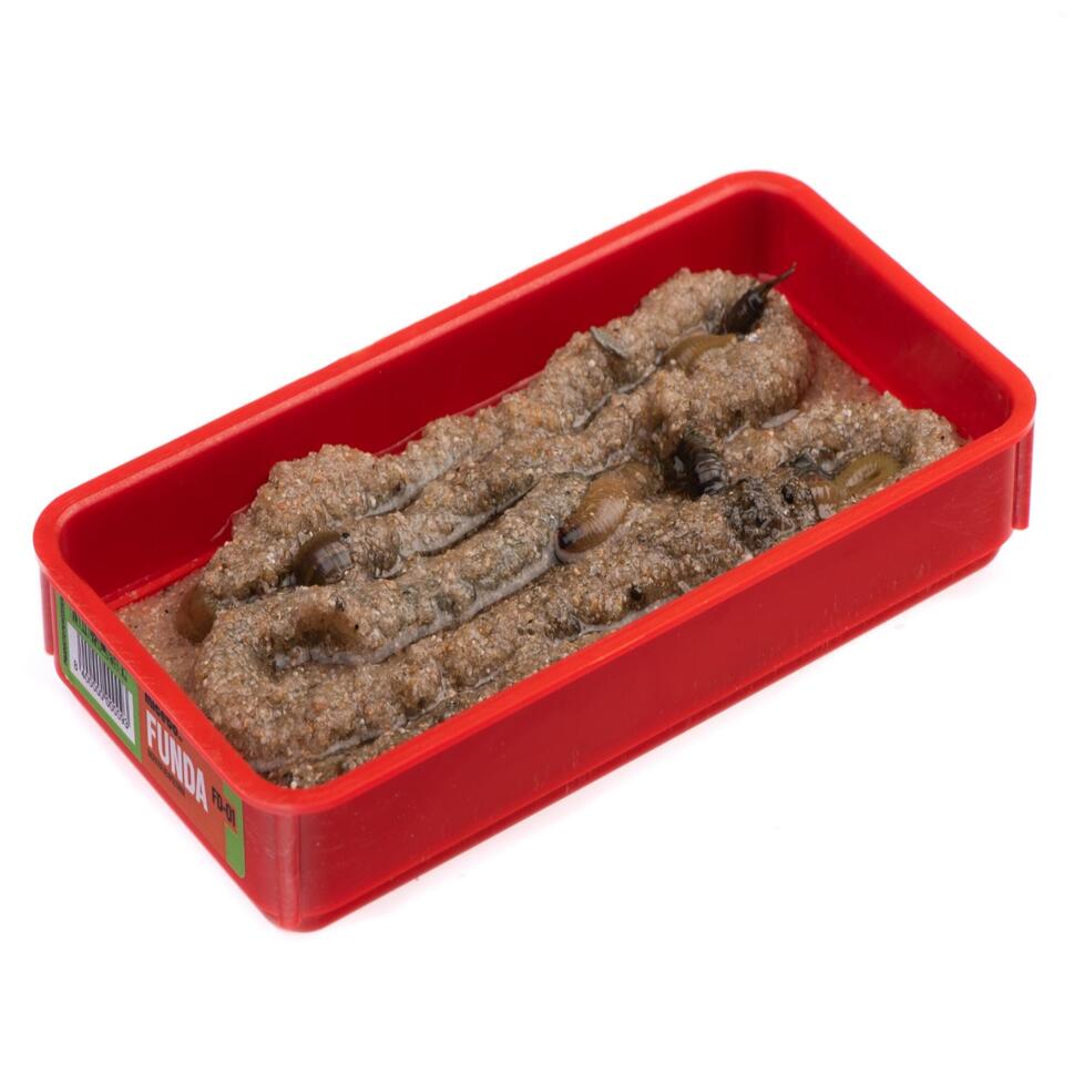 Compra Cebo Vivo para Pesca en Mar| Decathlon