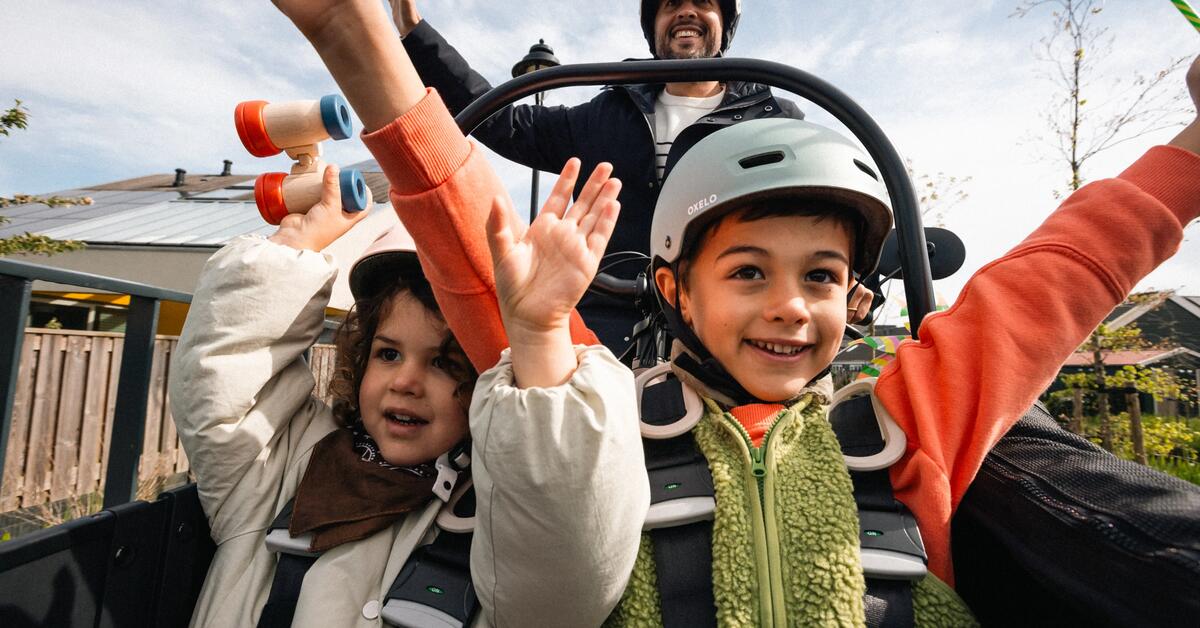 Mobility Transition Pathway