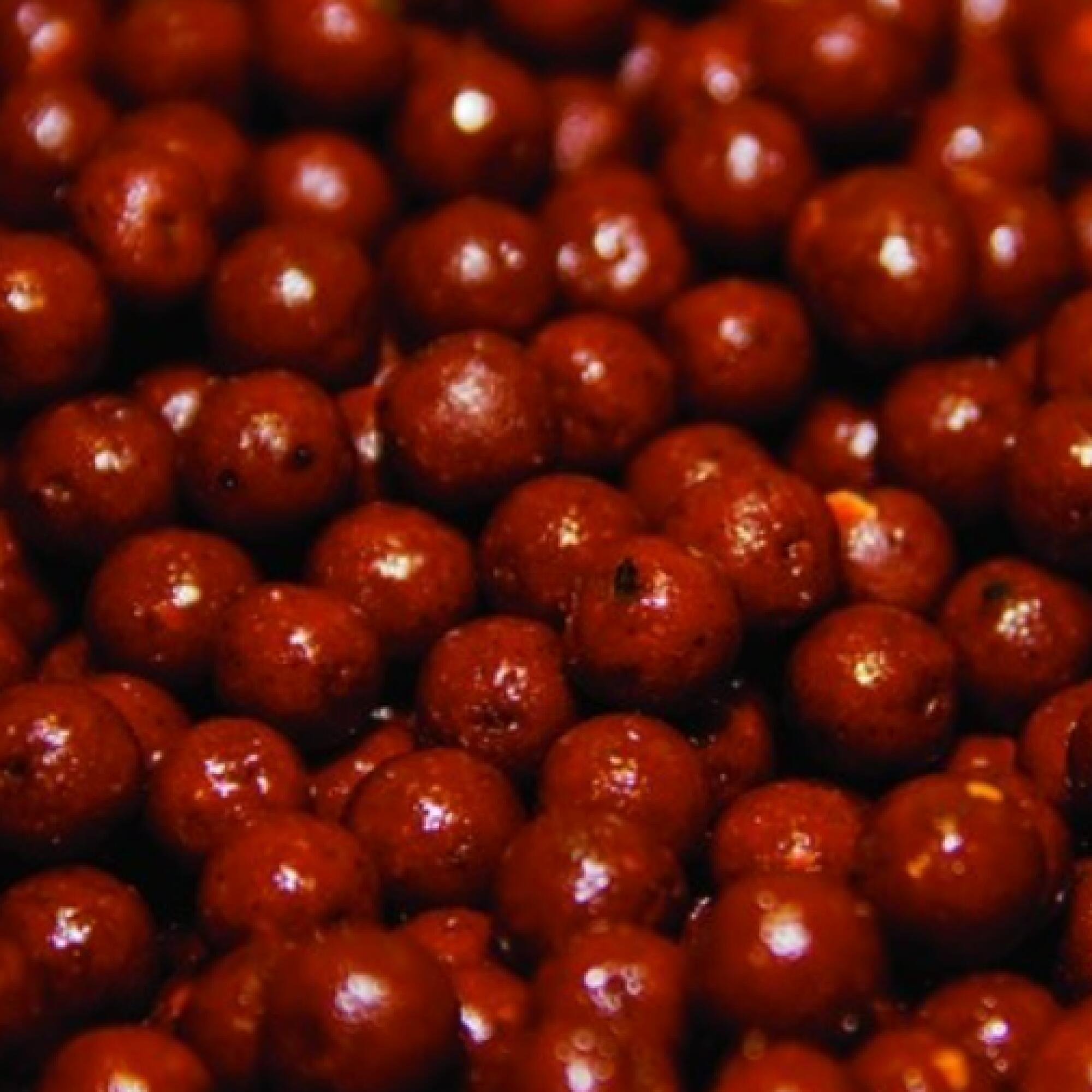 Dynamite Baits The Source 18mm Boilie 1kg | Decathlon
