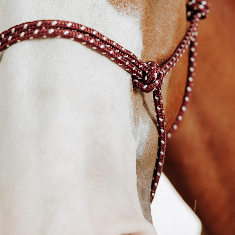 Licol équitation éthologique cheval - bordeaux CAPERLAN | Decathlon