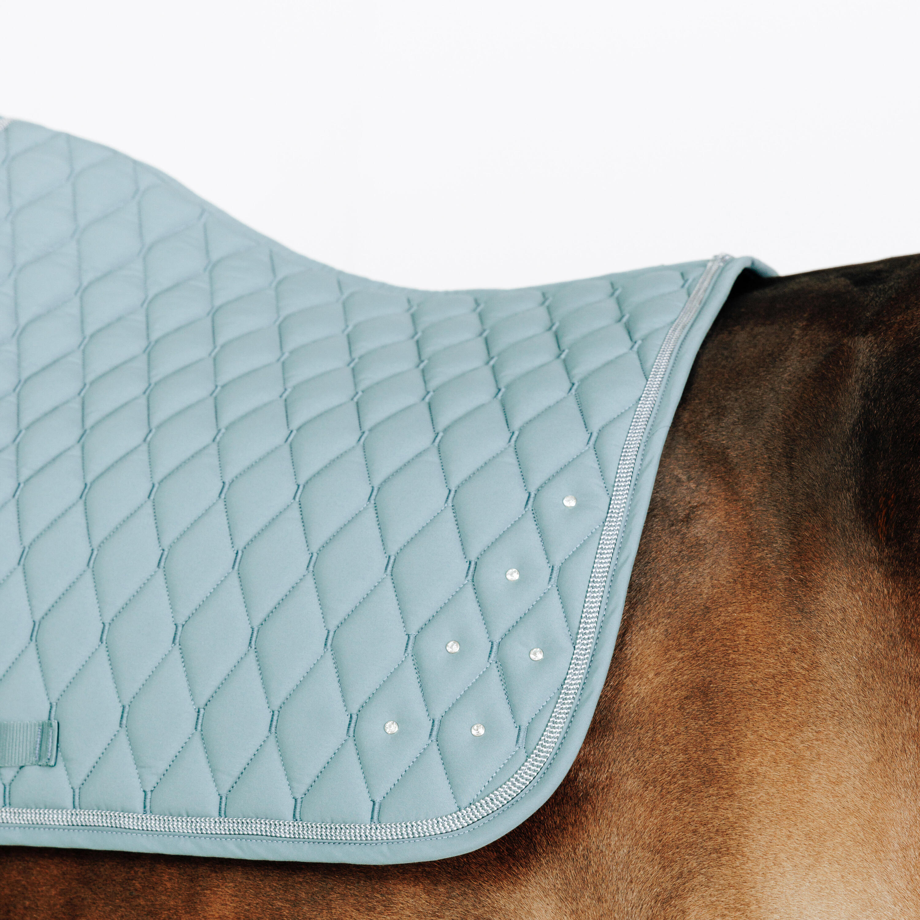 Horse and Pony Riding Rhinestone Saddle Cloth 500 - Frozen Cedar ...
