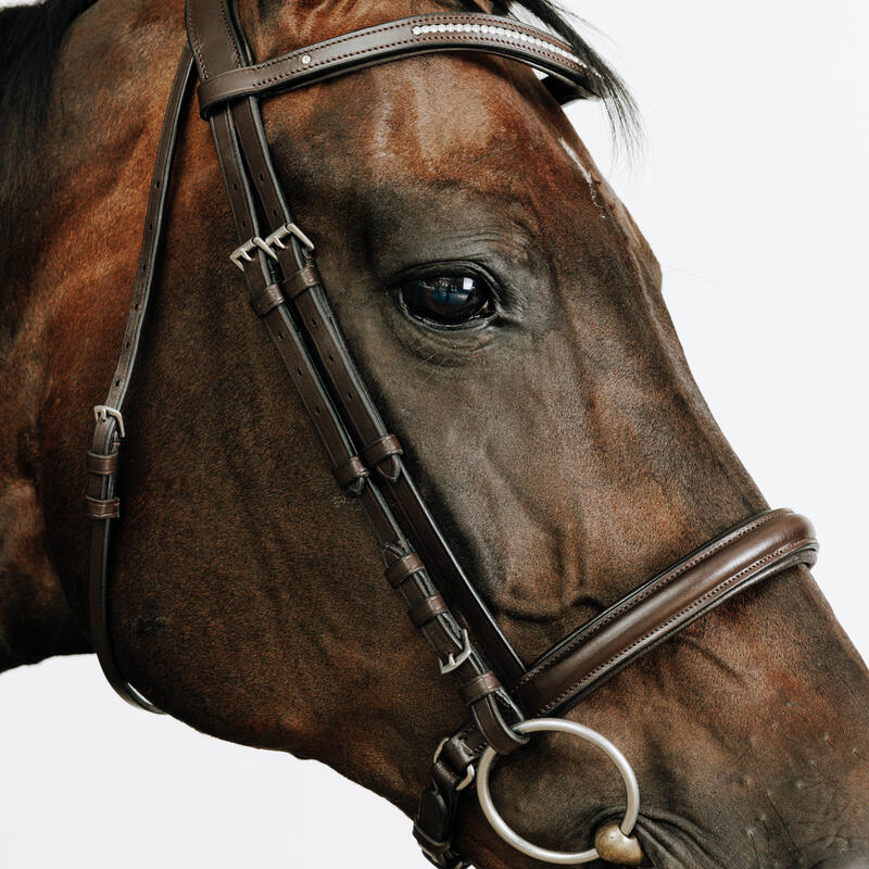 Filet équitation cuir muserolle française strass cheval et poney - 580 ...