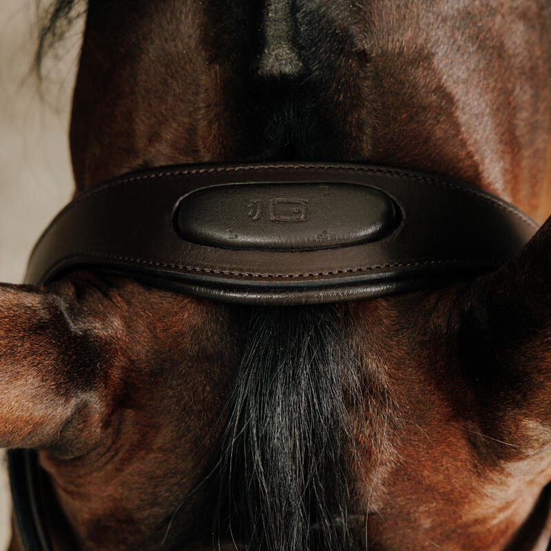 Filet équitation cuir muserolle française strass cheval et poney - 580 ...