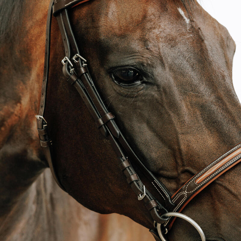 Filet équitation cuir muserolle française surpiqué cheval et poney ...