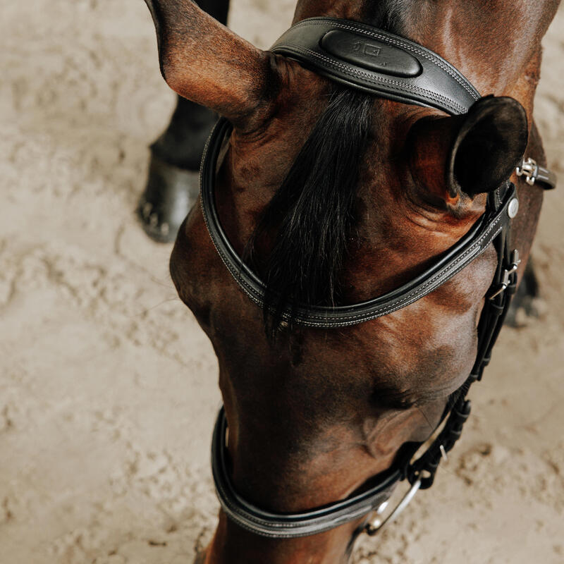Filet équitation cuir muserolle française surpiqué cheval et poney ...