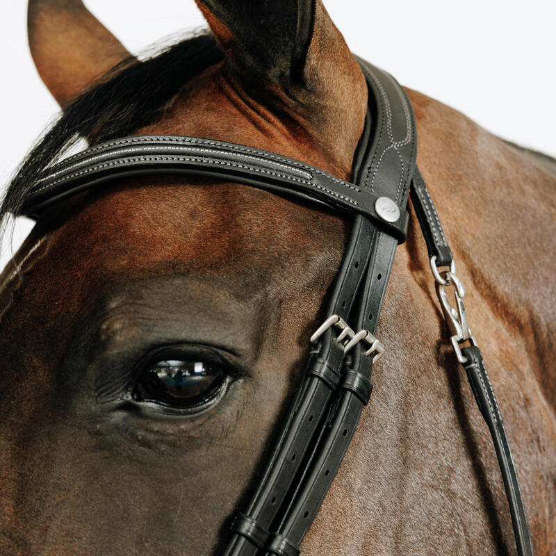 Cabeçada em Couro de Equitação Focinheira Francesa Cavalo e Pónei 580 ...