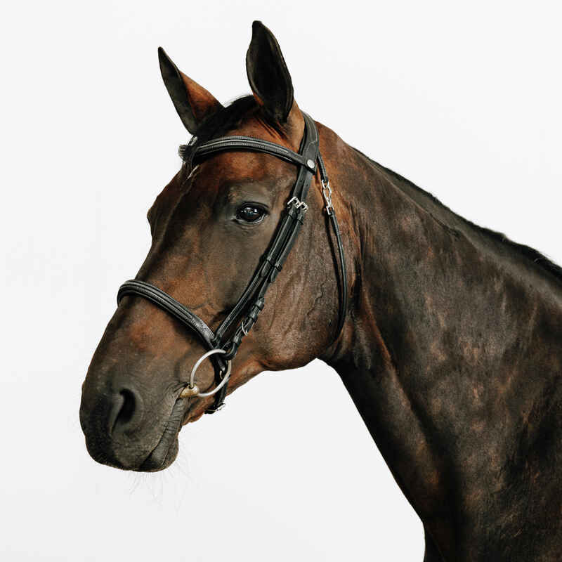 Črna prešita usnjena uzda za konje in ponije s francoskim nosnikom 580 ...