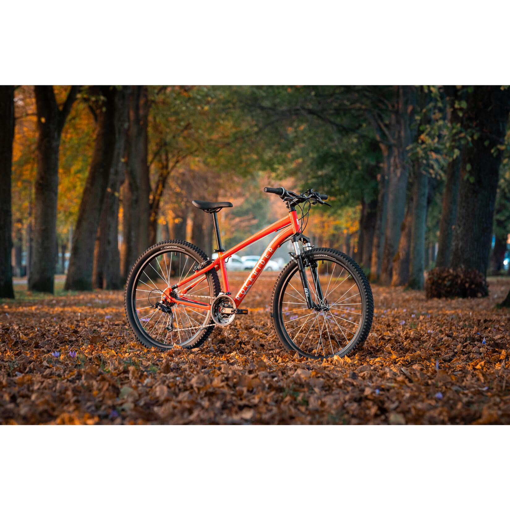 Vélo vtt randonnée - expl 50 gris clair ROCKRIDER | Decathlon