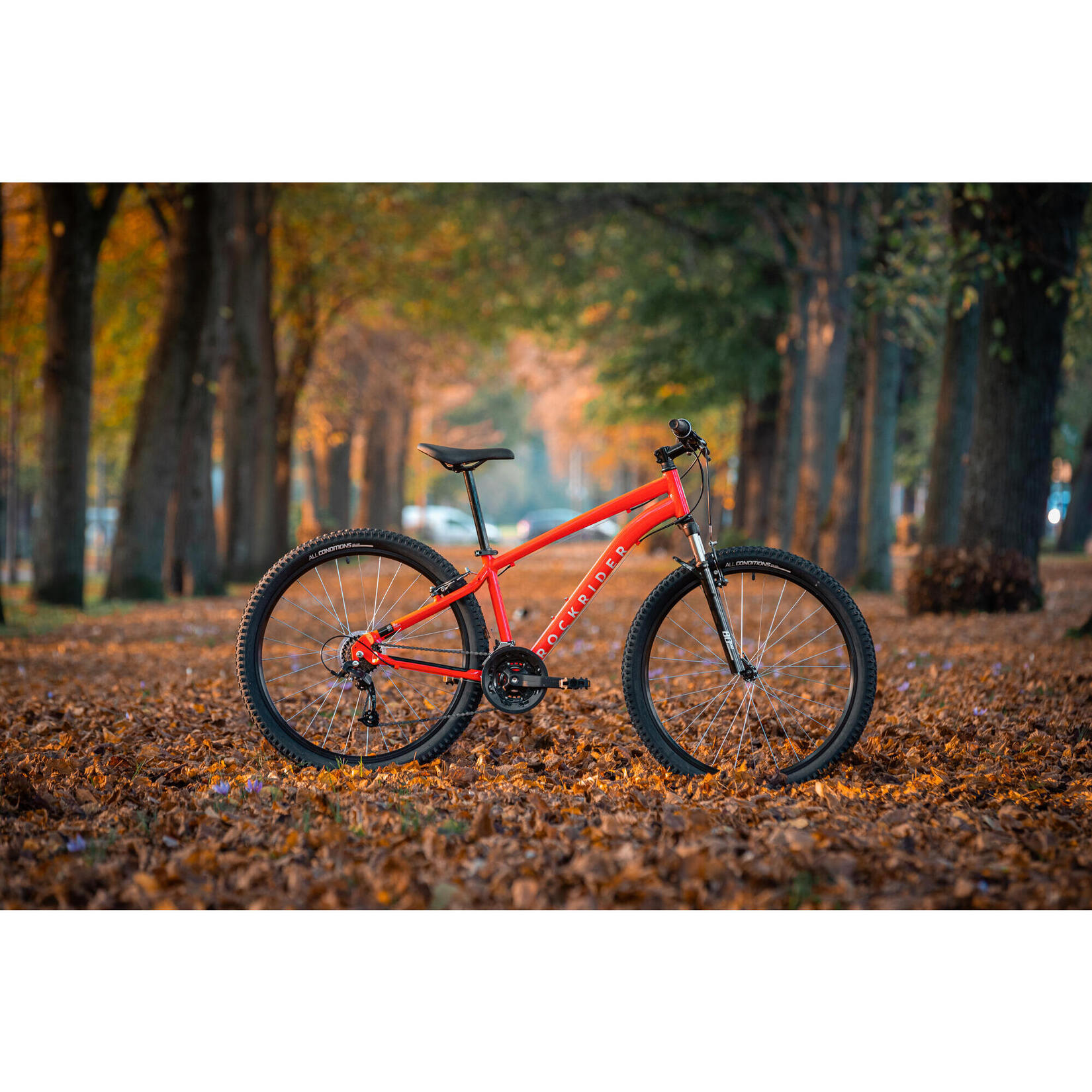 Vélo vtt randonnée - expl 50 gris clair ROCKRIDER | Decathlon