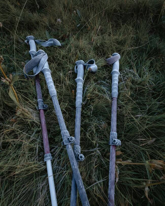 1 Impact-Absorbing Hiking Pole MT500 Anti-shock - Red SIMOND | Decathlon