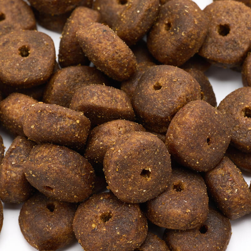 FRIANDISES POUR CHIENS ADULTES 500 GR. SOLOGNAC | Decathlon