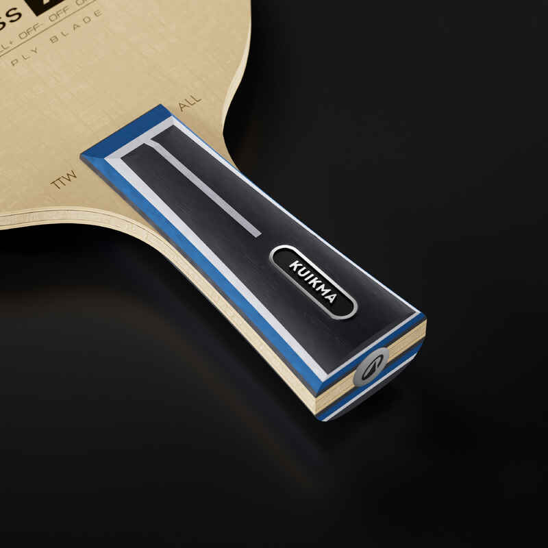 Table Tennis Blade TTW Progress ALL - Decathlon