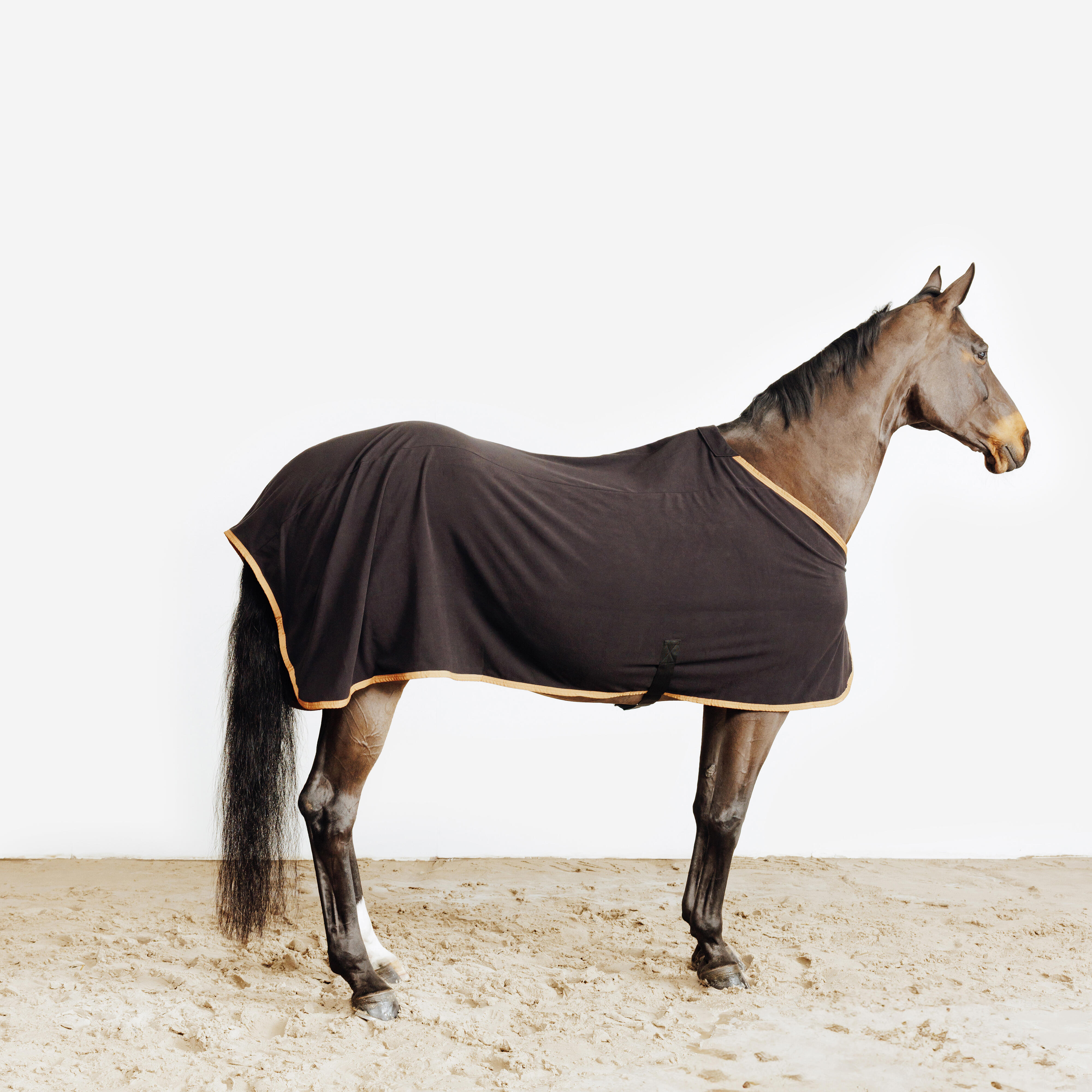 Horse and Pony Riding Fleece Show Rug Basic - Black - Decathlon