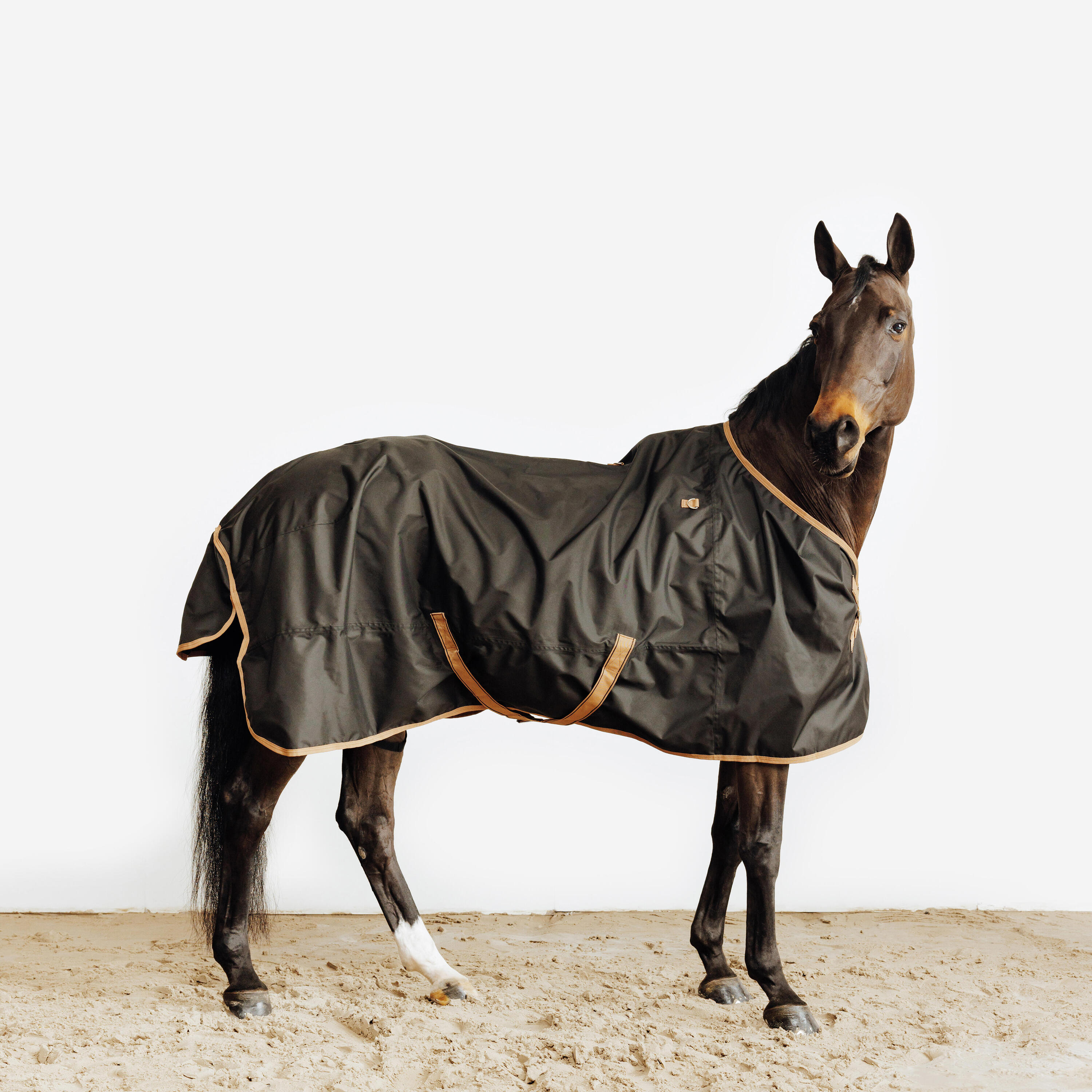 Regendeken paard en pony Allweather 0 gram zwart en bruin FOUGANZA ...