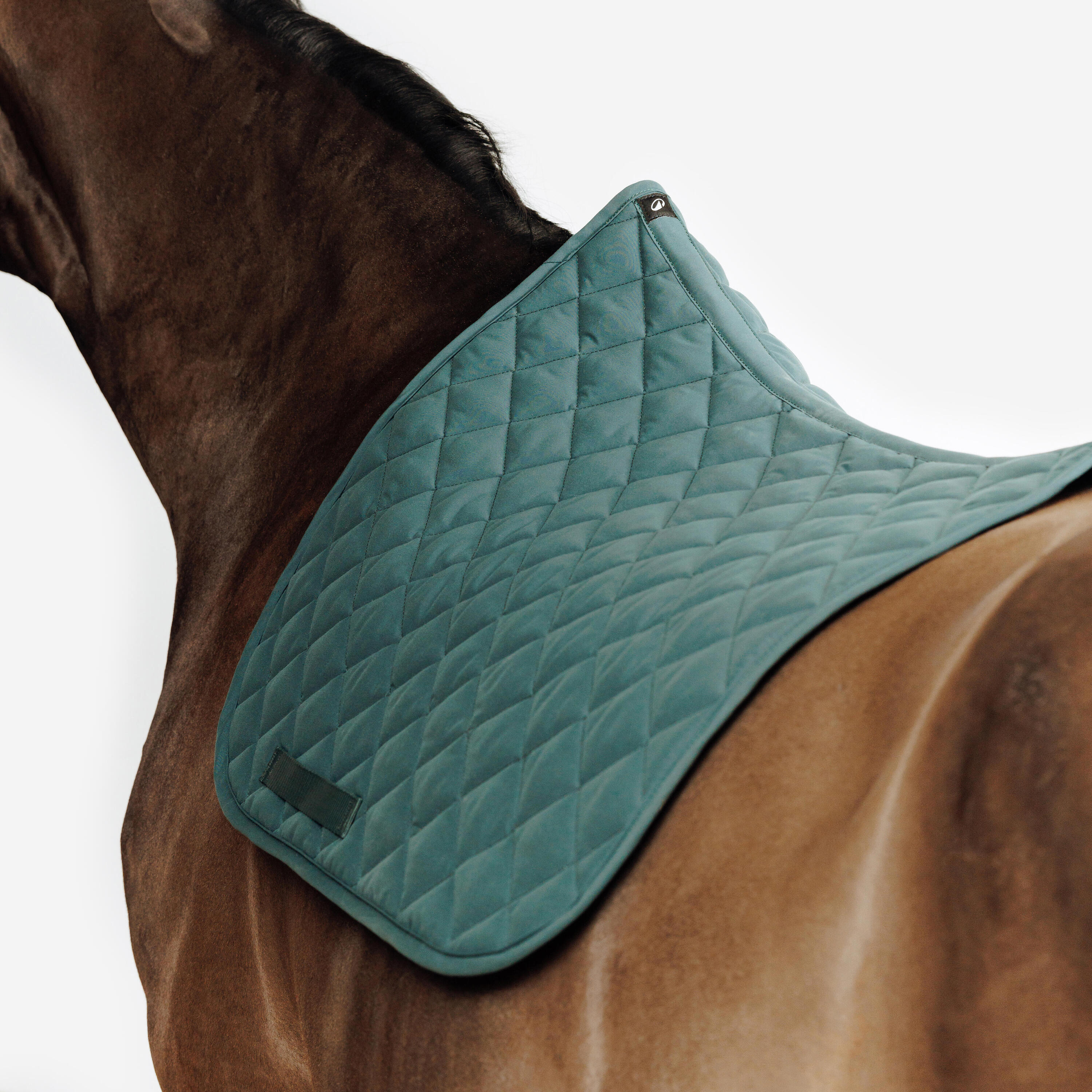 Horse Riding Saddle Cloth for Horse and Pony -100 - Green FOUGANZA ...