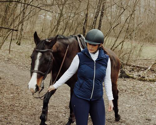 Owies w diecie konia – jak prawidłowo żywić swojego konia?