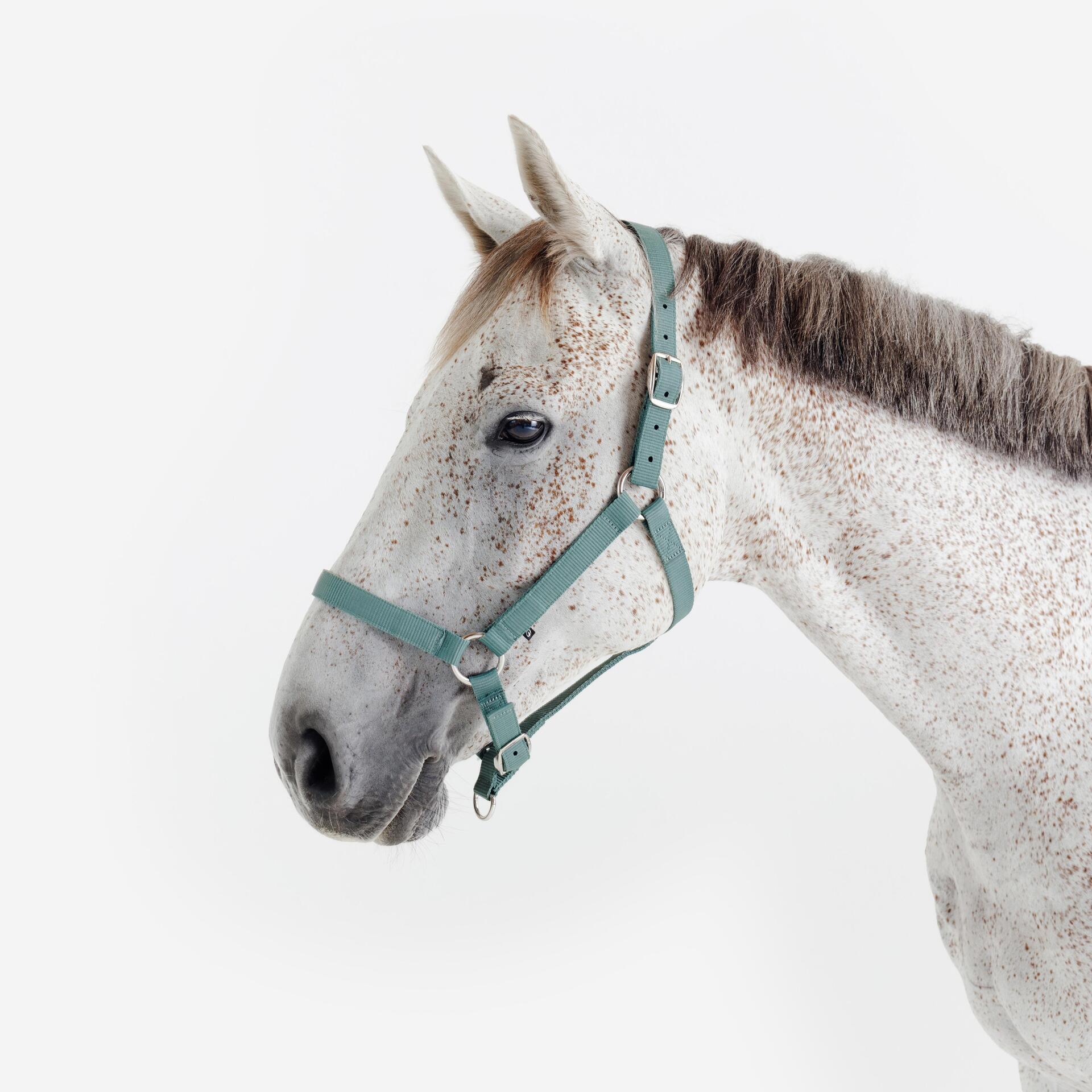 Licols | Équitation | DECATHLON