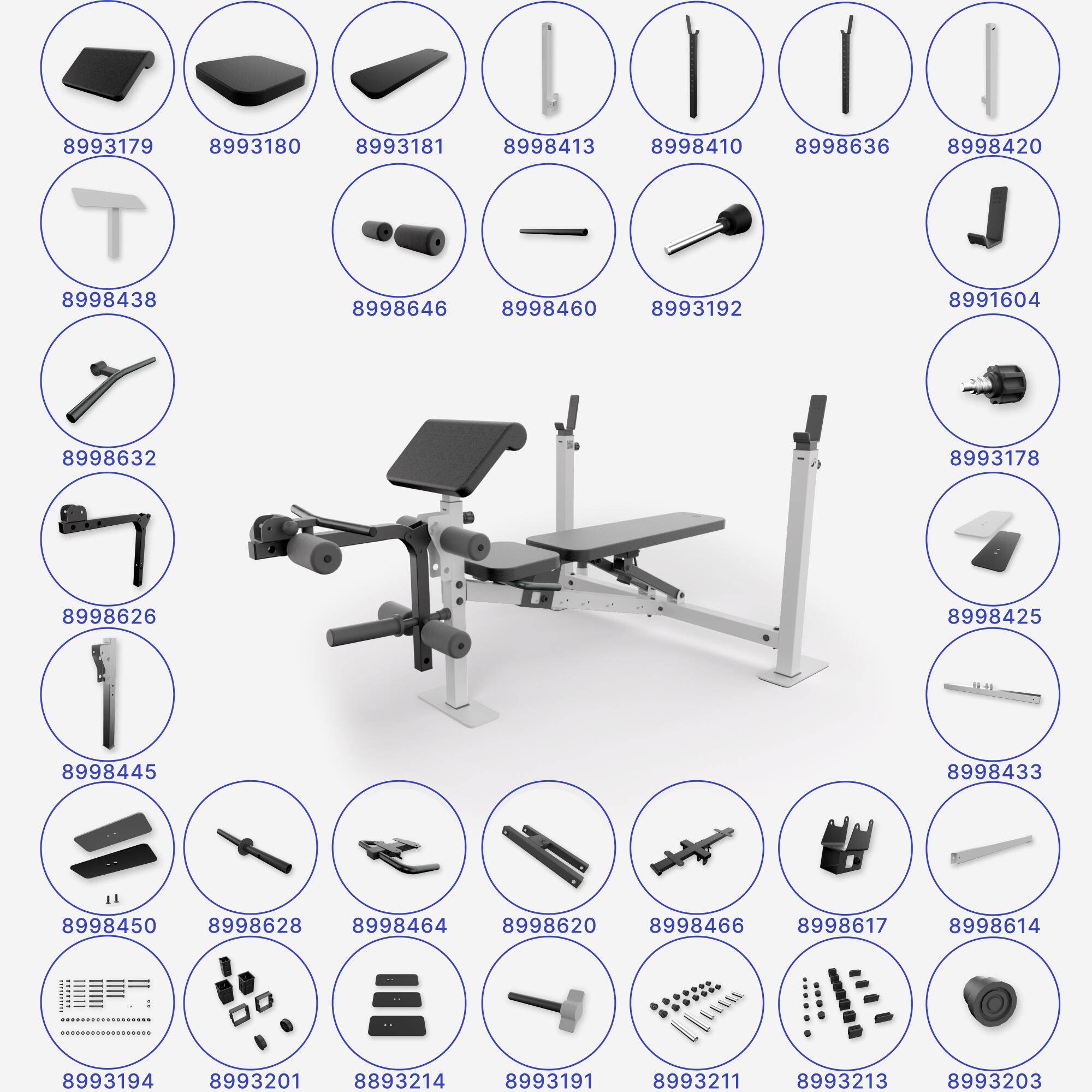 Estrutura de Peso Bíceps Peça Sobresselente Musculação Bench Press ...