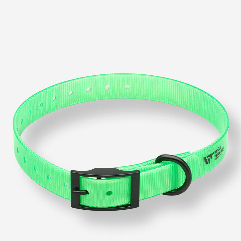 COLLIER POUR CHIEN VERT X-PERT CYNNOTEK | Decathlon