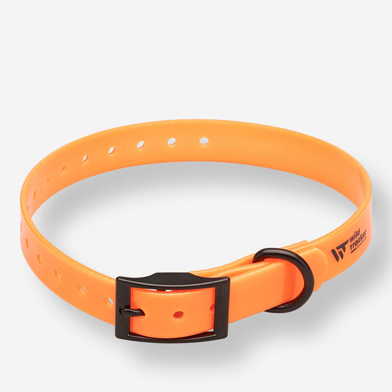 COLLIER POUR CHIEN X-PERT ORANGE CYNNOTEK | Decathlon