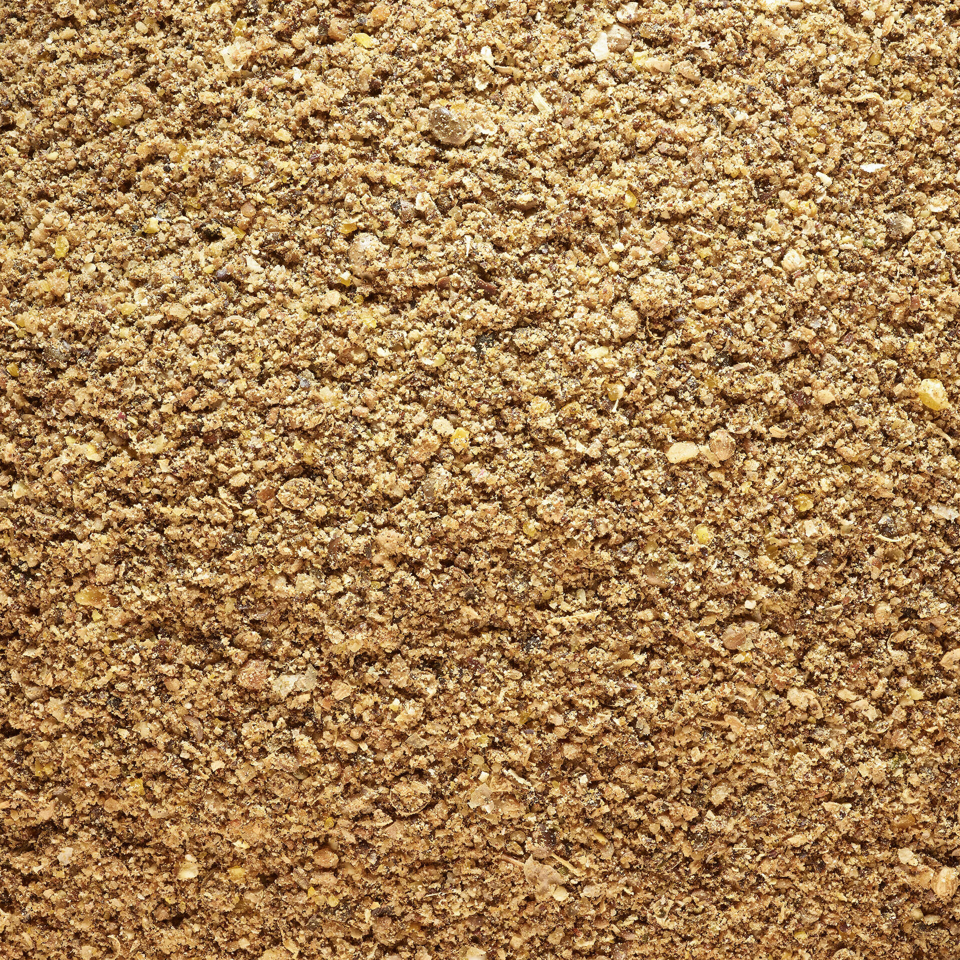 Amorce de pêche Gooster premium gardon explosive 1kg | Decathlon