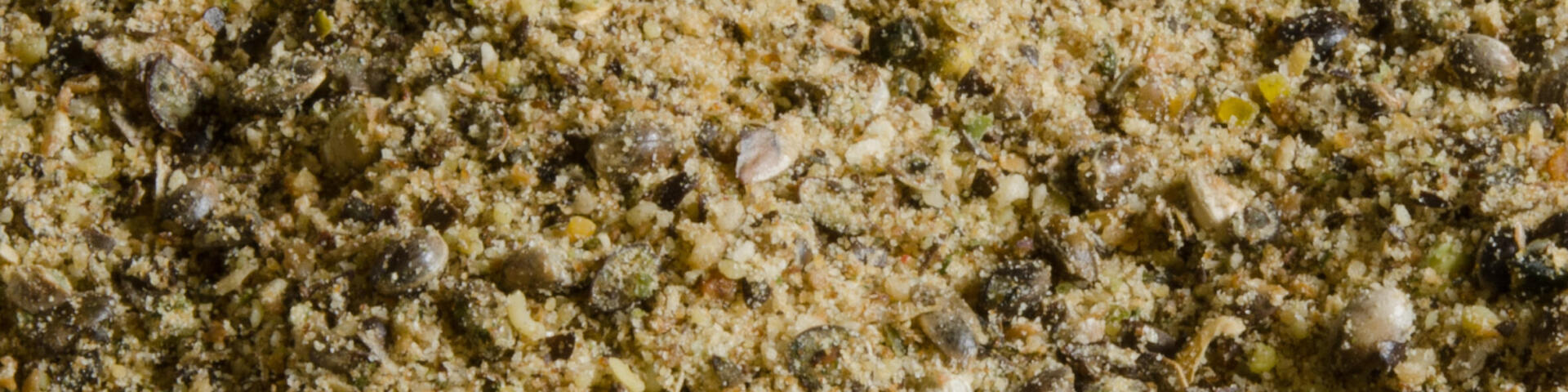 Pêche : comment bien préparer son amorce