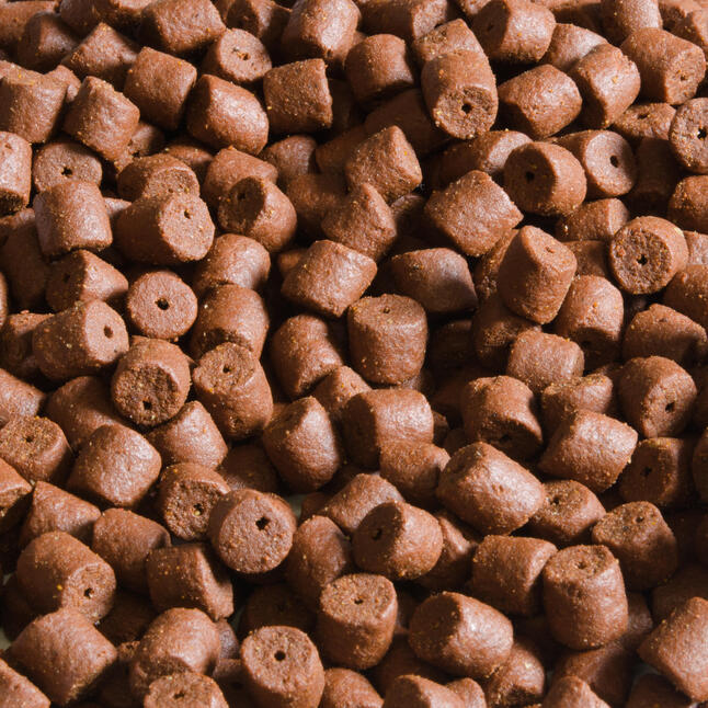 Pellets GOOSTER PELLETS FISCH ERDBEER 8 MM 5 KG CAPERLAN - DECATHLON