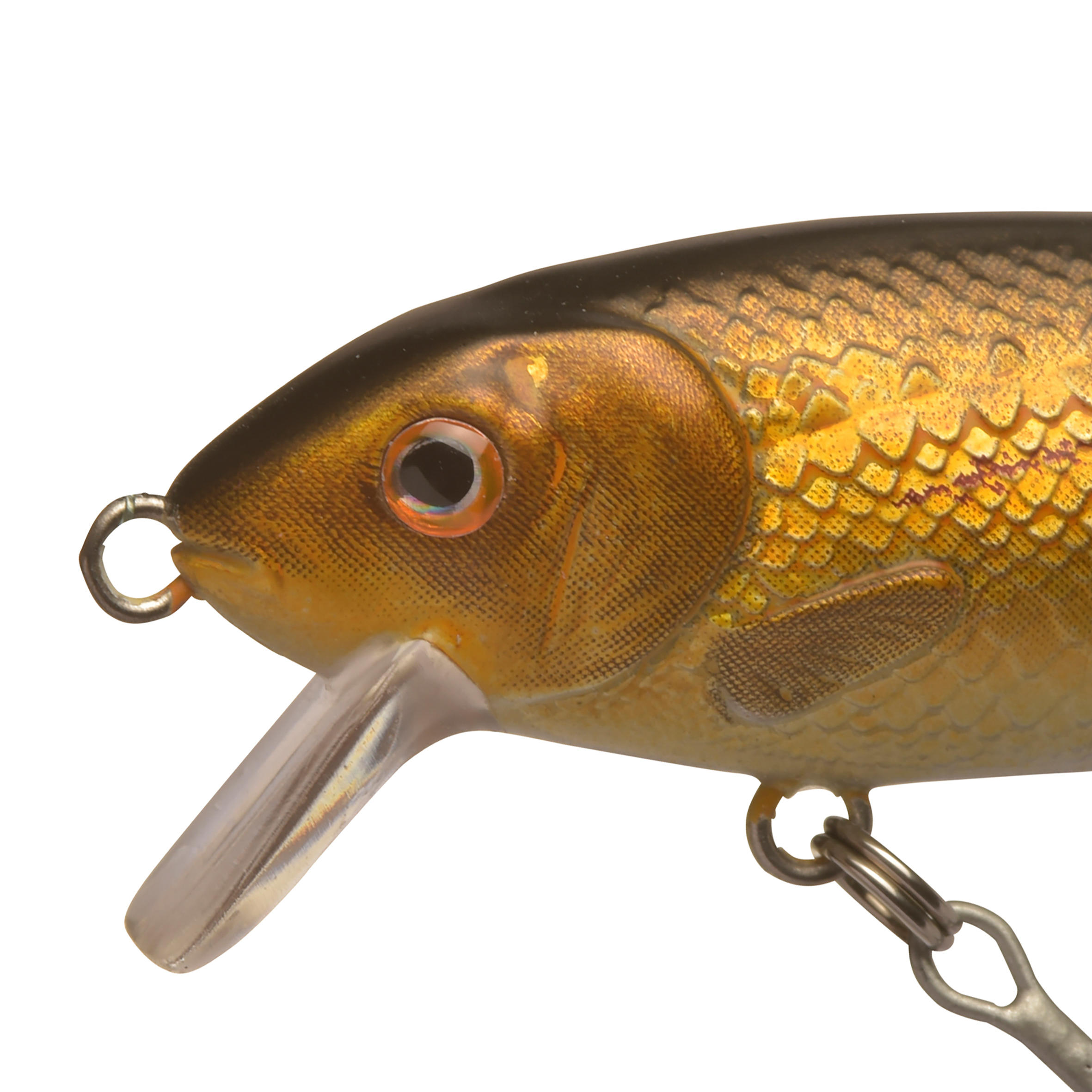 Glenroy 70 Tench Float Fishing Plug Bait CAPERLAN | Decathlon