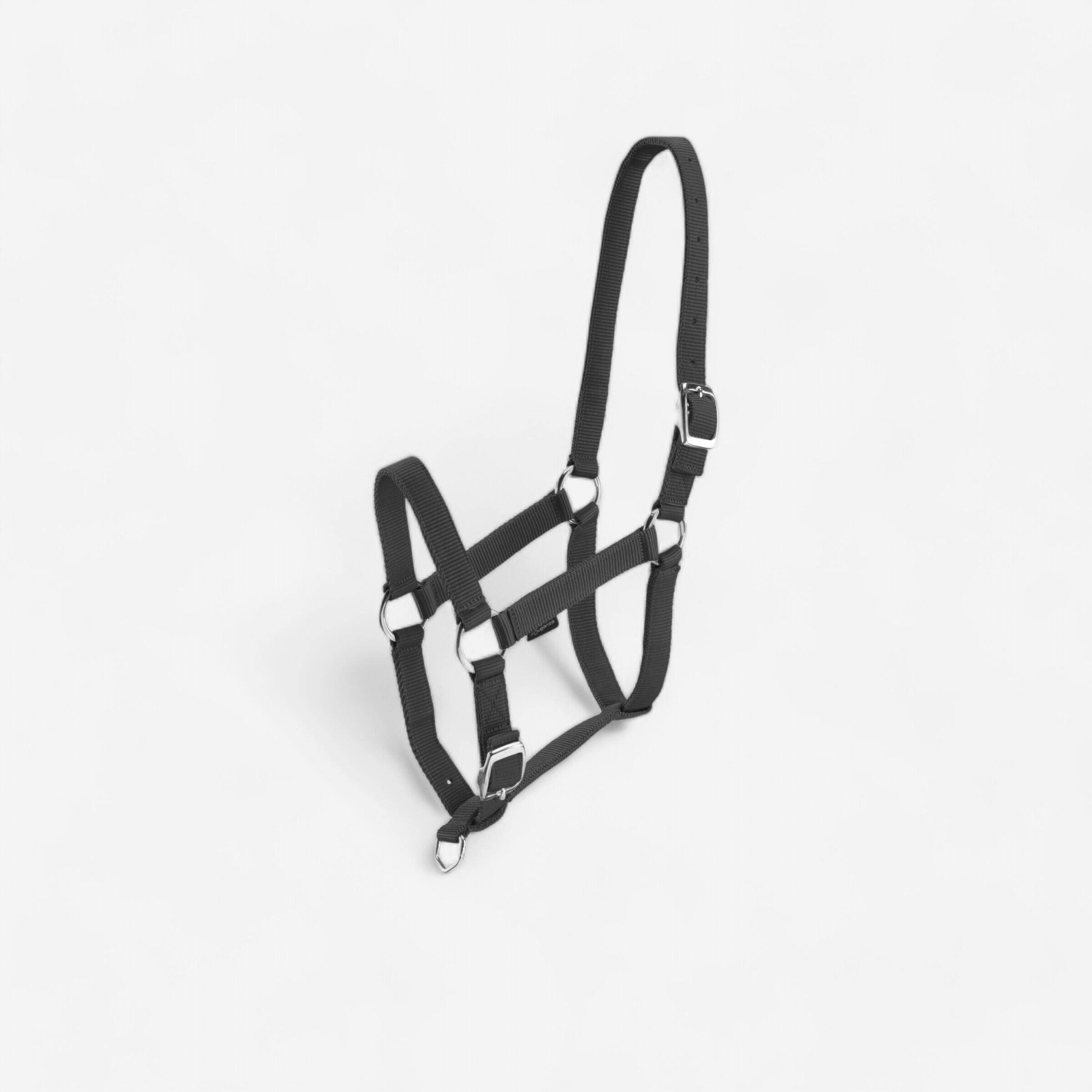 Buy Schooling Horse Riding Halter For Horse Online At Decathlon.In