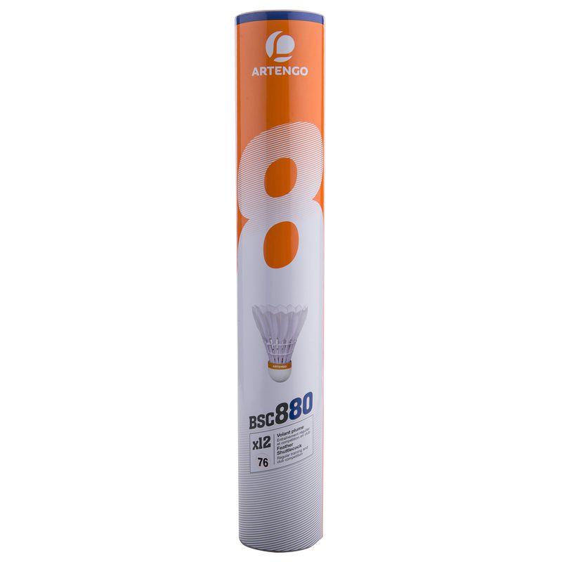 BSC880 Badminton Shuttlecocks (Speed 77 - FFBAD Standard-Approved) 12 ...