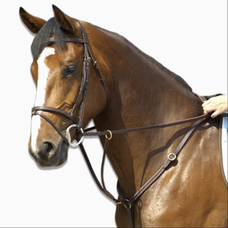 Vorderzeug + Martingal Schooling leder Pferd braun | FOUGANZA ...