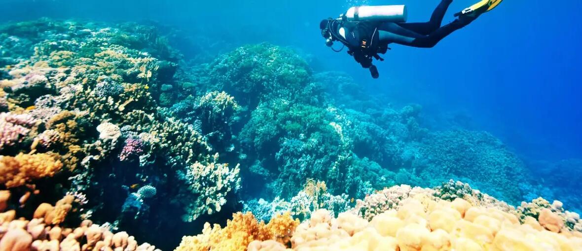 How to snorkel: A beginners guide to snorkelling
