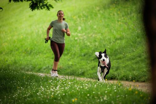 LES ASTUCES POUR COURIR AVEC SON CHIEN