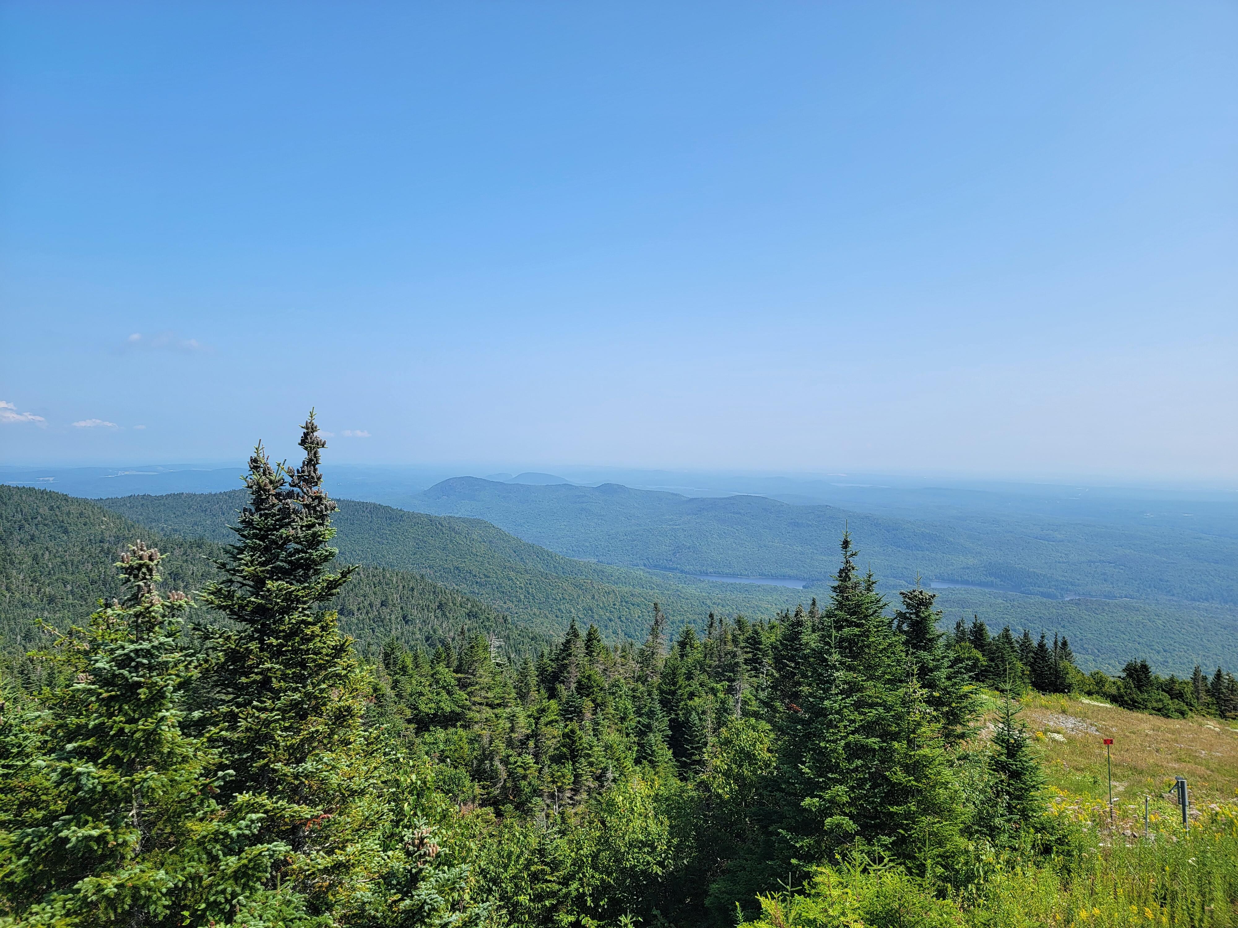 Our Guide to the Best Forests in the UK