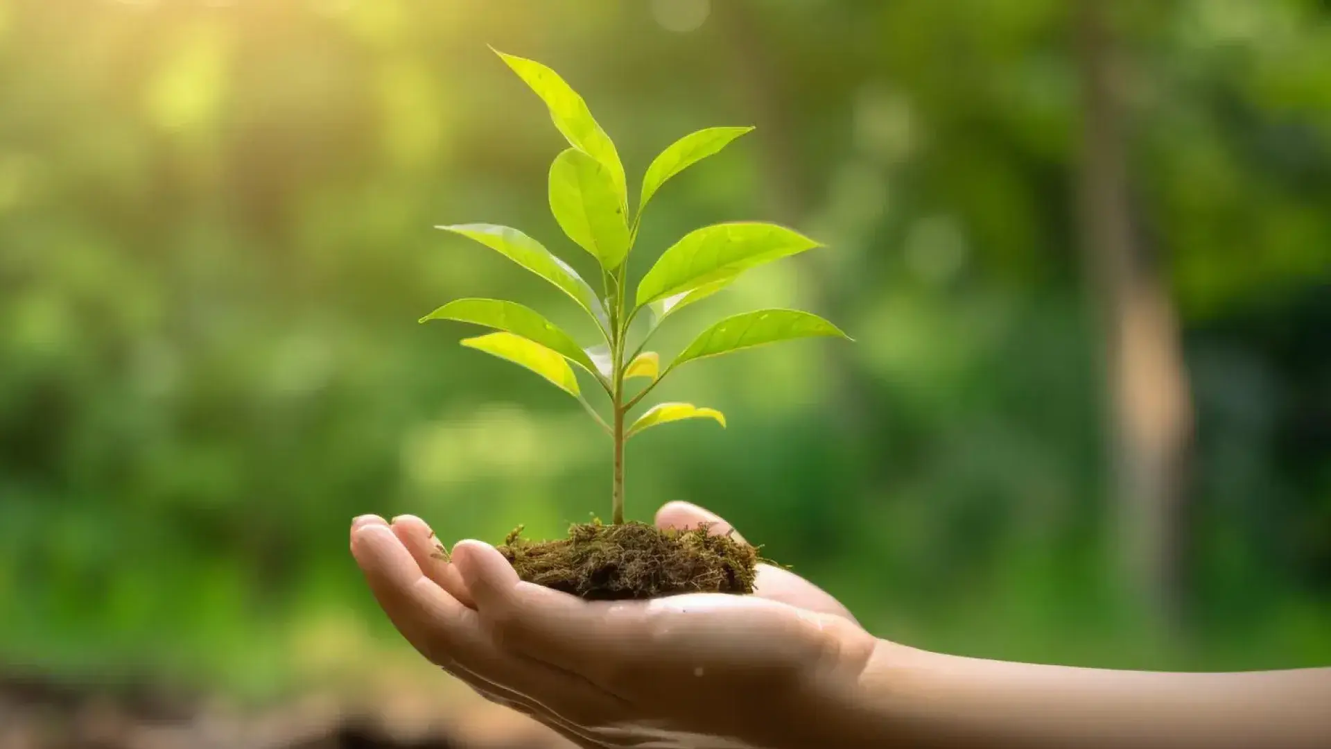 DECATHLON® Australia | Australia's Premier Outdoor & Sporting Goods Store