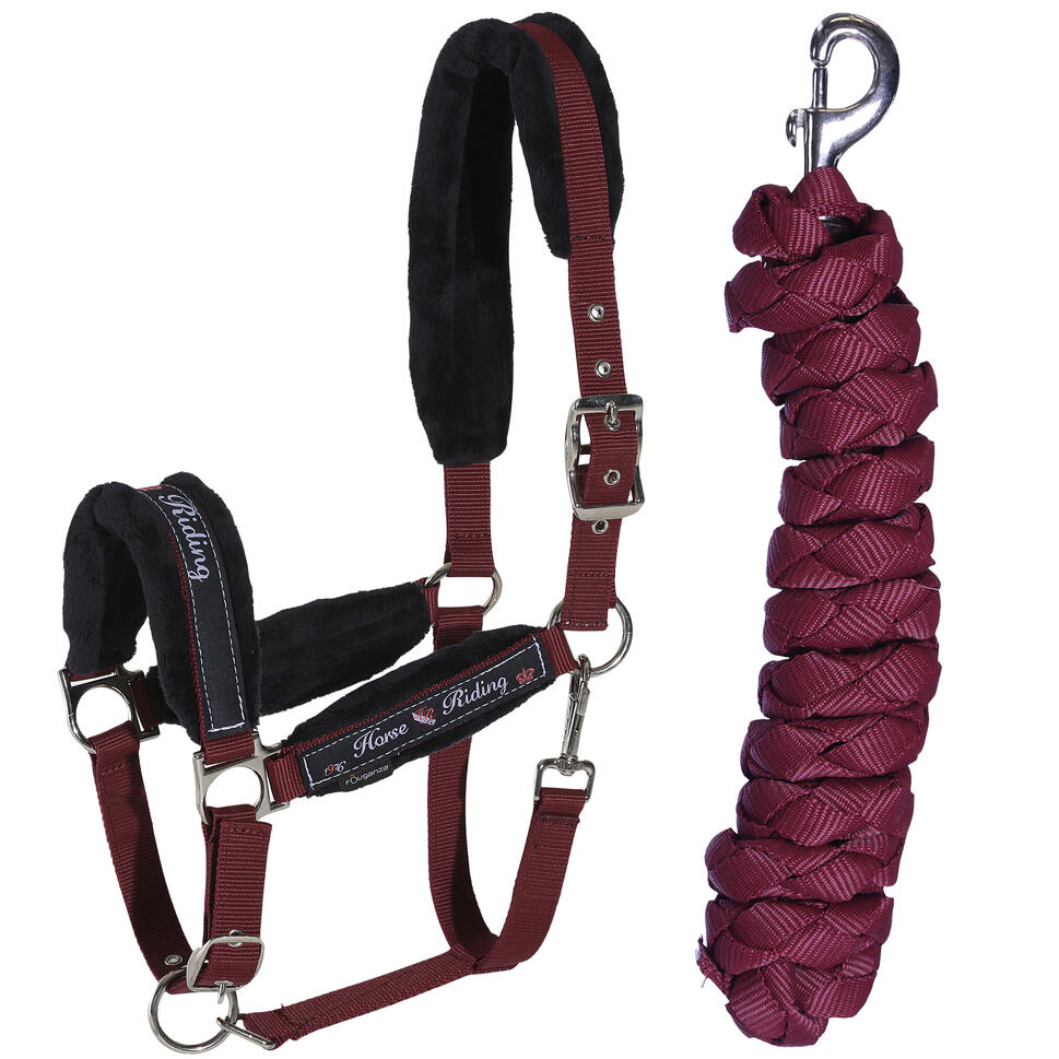 Horse Riding Crops - Riding Whips & Spurs | Decathlon