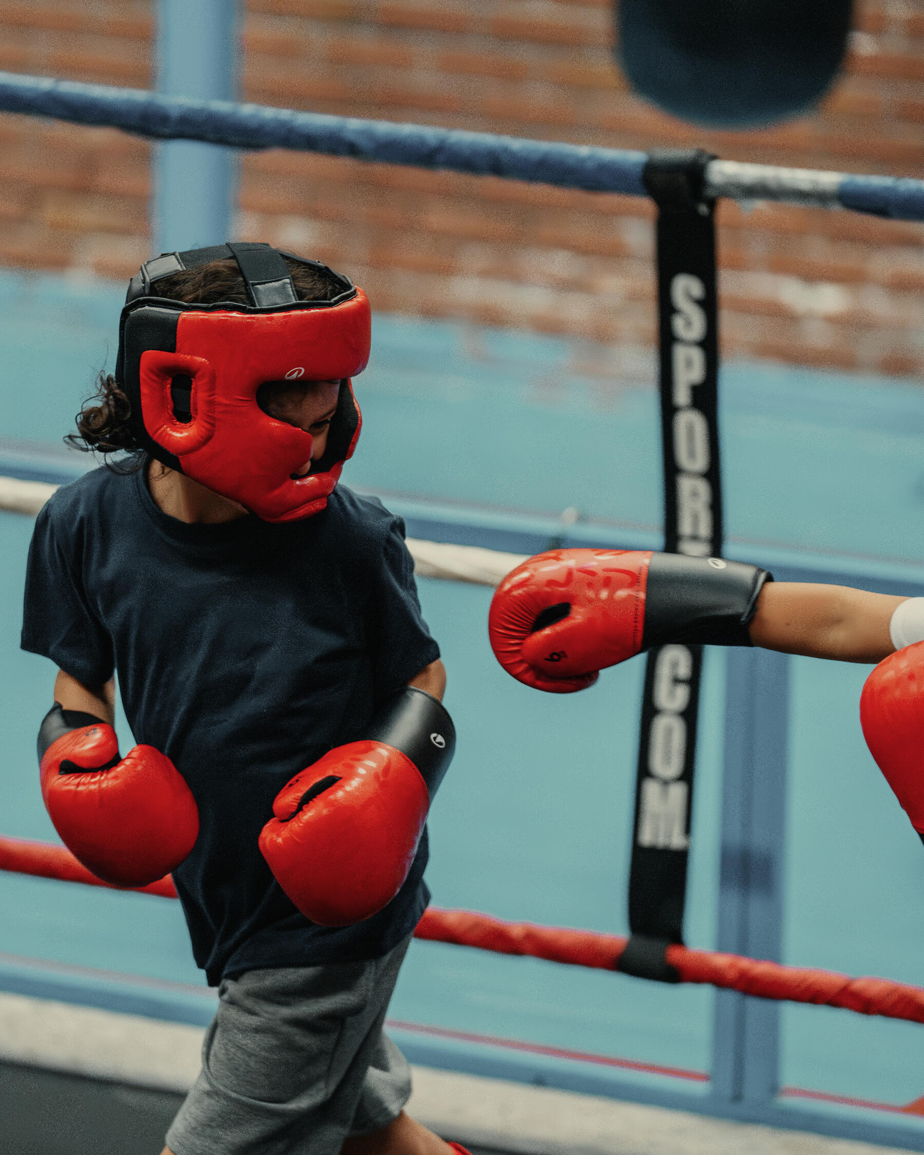 Top 5 Greatest Boxers Of All Time