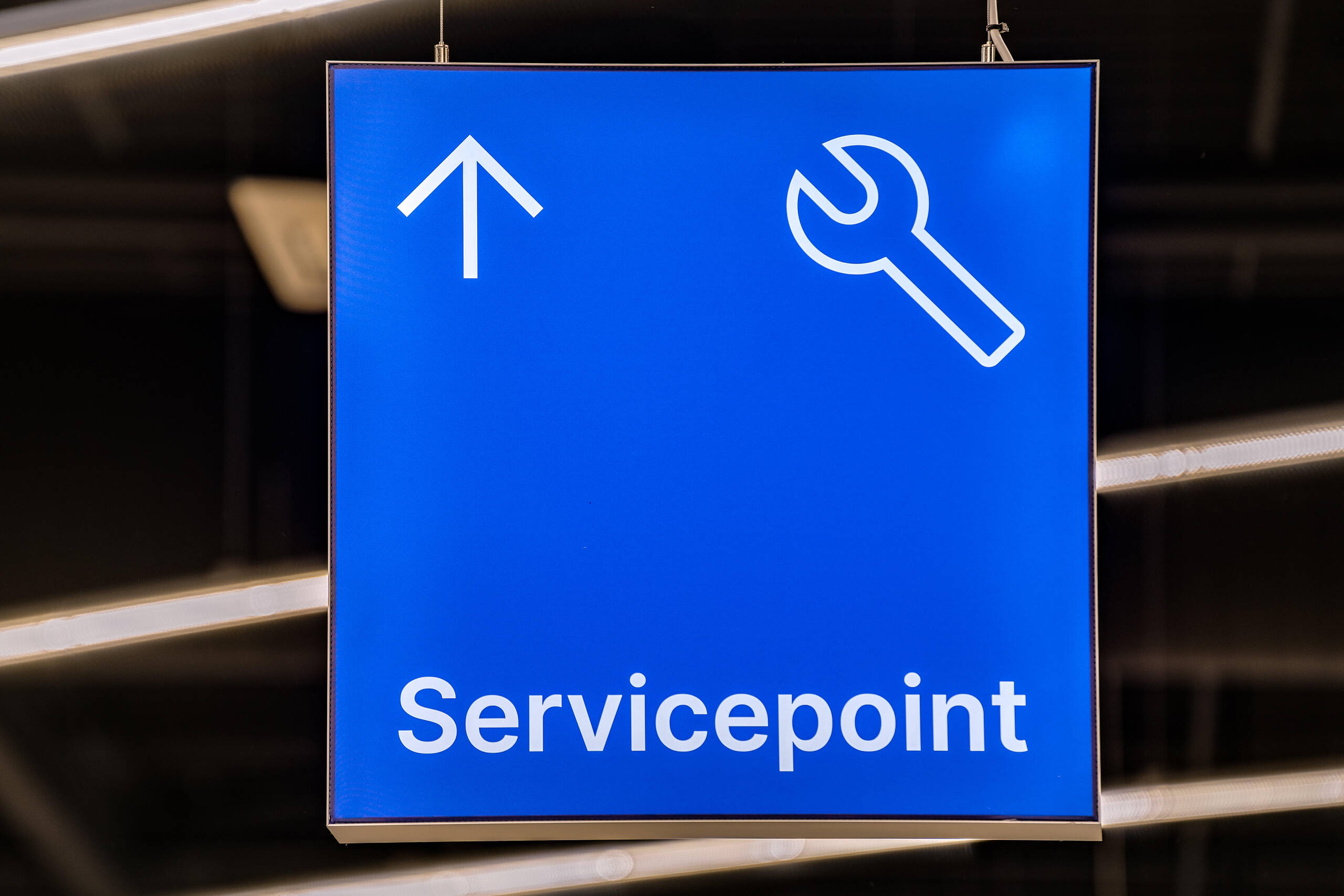 Wiedereröffnung der Decathlon-Filiale in Neunkirchen: - Decathlon