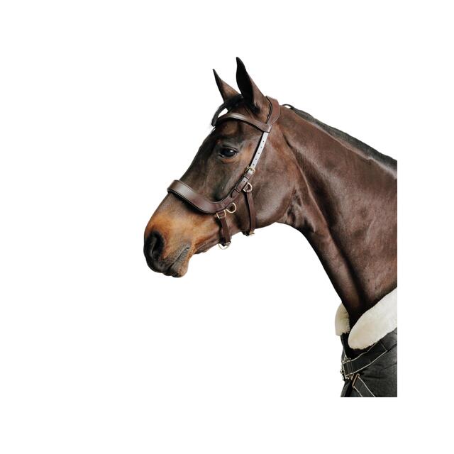 Filets d'équitation pour cheval | Decathlon