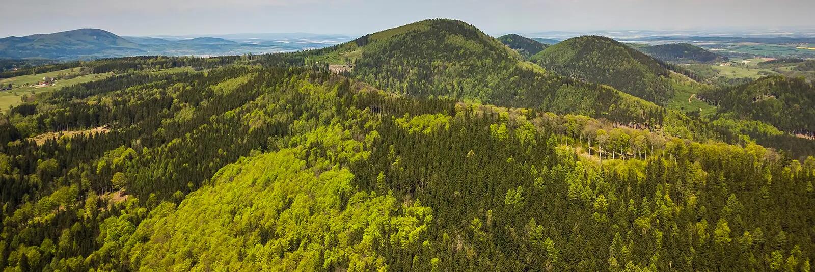 Borowa Góra, czyli najwyższy szczyt Gór Wałbrzyskich. Szlaki