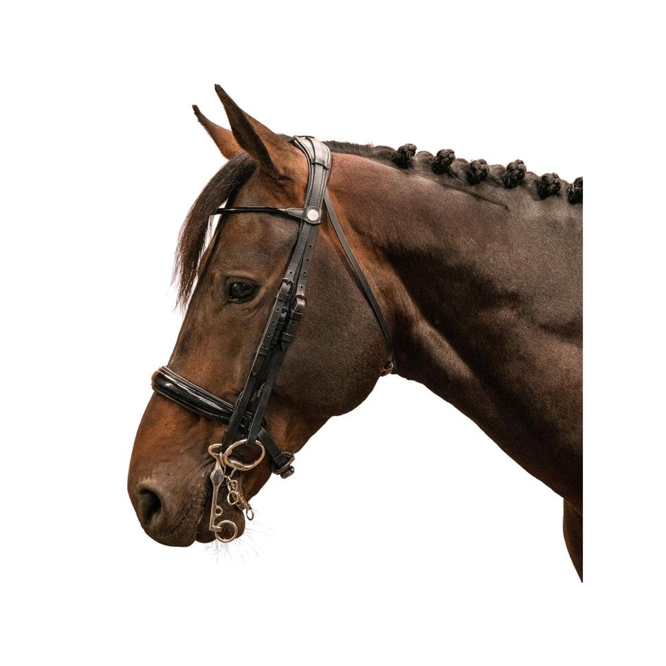 Bridons cheval et poney | Équitation | DECATHLON