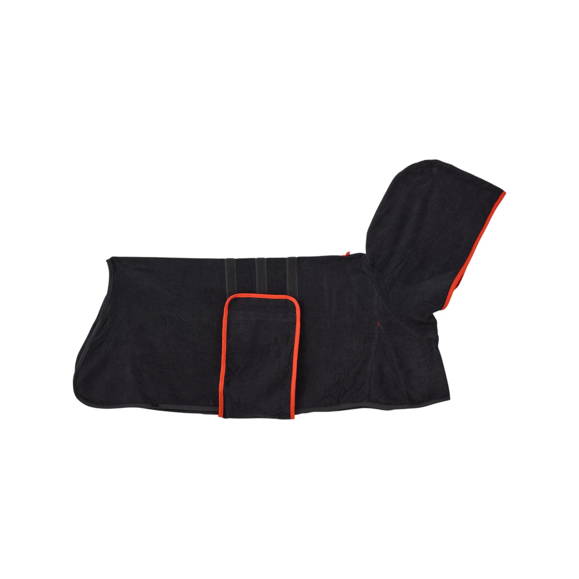 Equipement pour chien | Decathlon