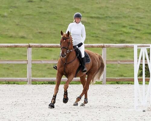 Jaki bat do jazdy konnej wybrać? Jaka długość palcata?