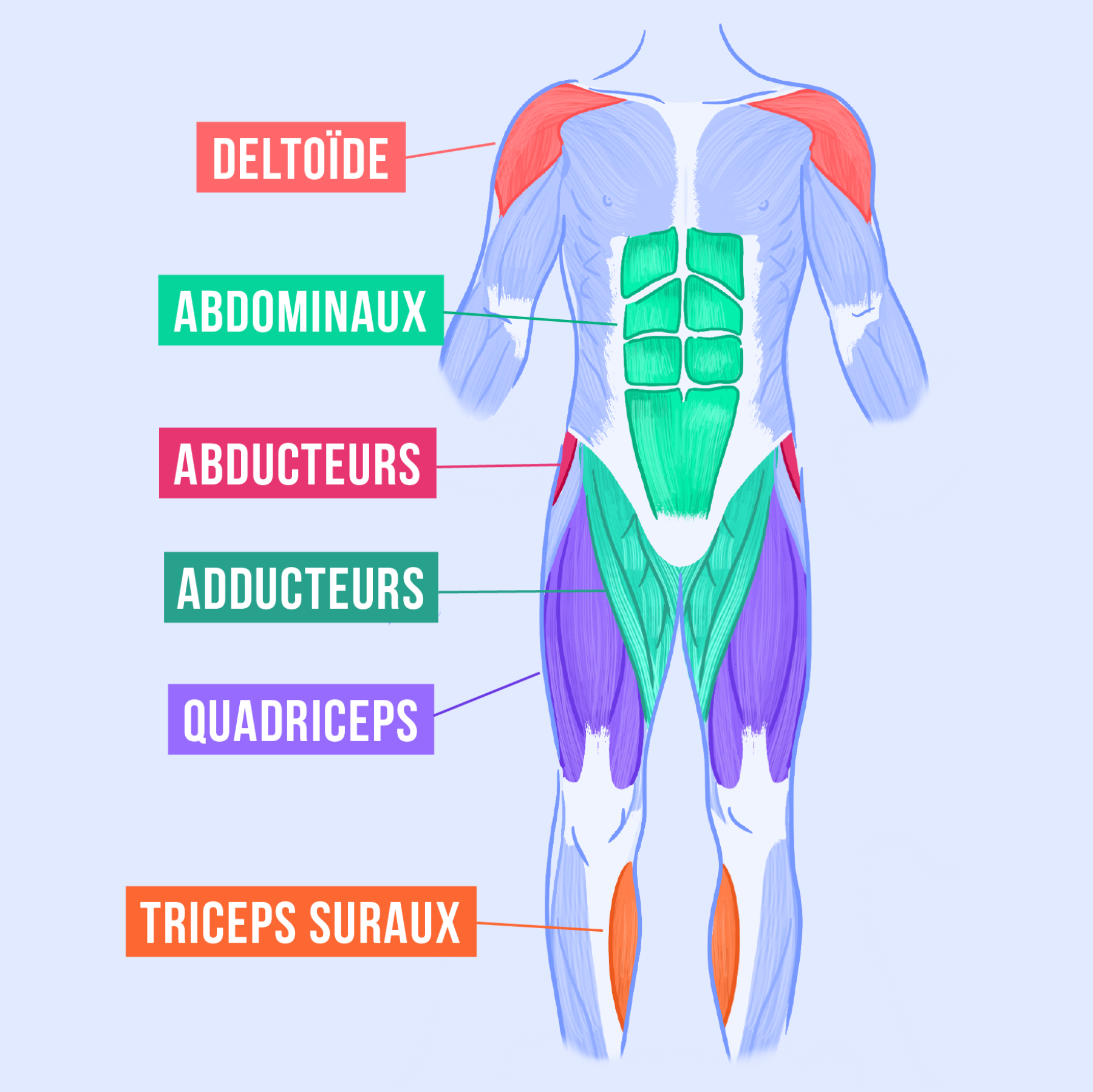 Jumping Jacks Br ler Des Calories Et Se Tonifier Jumping Jacks Br ler Des Calories Et Se Tonifier