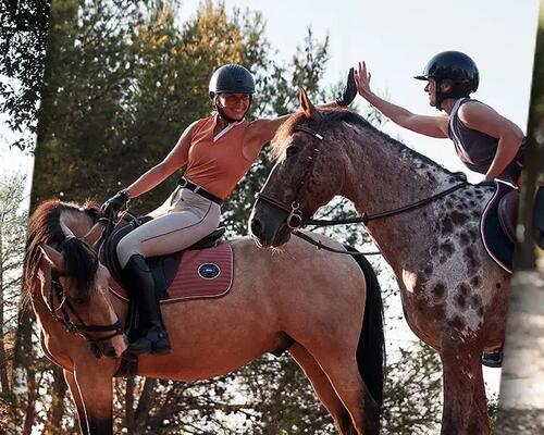 Jaki bat do jazdy konnej wybrać? Jaka długość palcata?