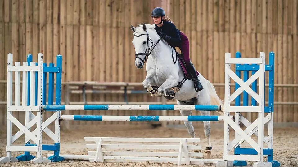 Skoki przez przeszkody – widowiskowa dyscyplina dla każdego!