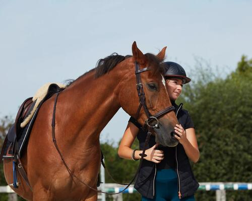 Jaki bat do jazdy konnej wybrać? Jaka długość palcata?